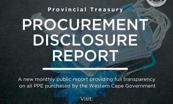 Procurement Disclosure Report a commitment to clean governance ...