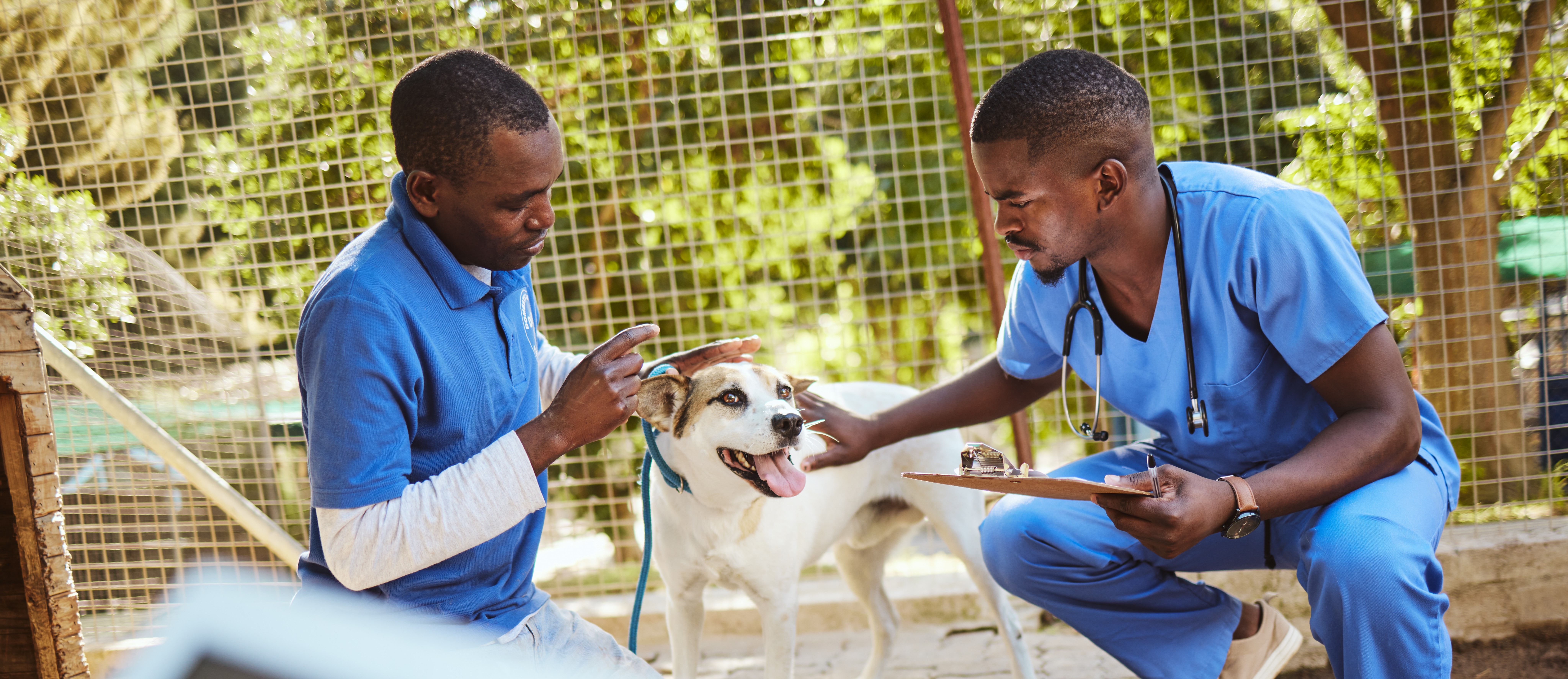 Veterinary Services | Western Cape Government