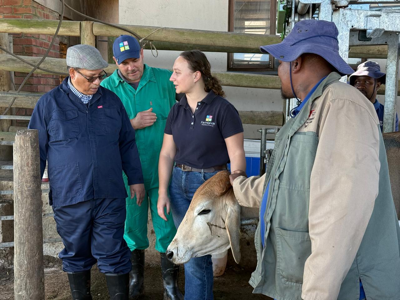 Western Cape strengthens FMD response as farmers, veterinarians and ...
