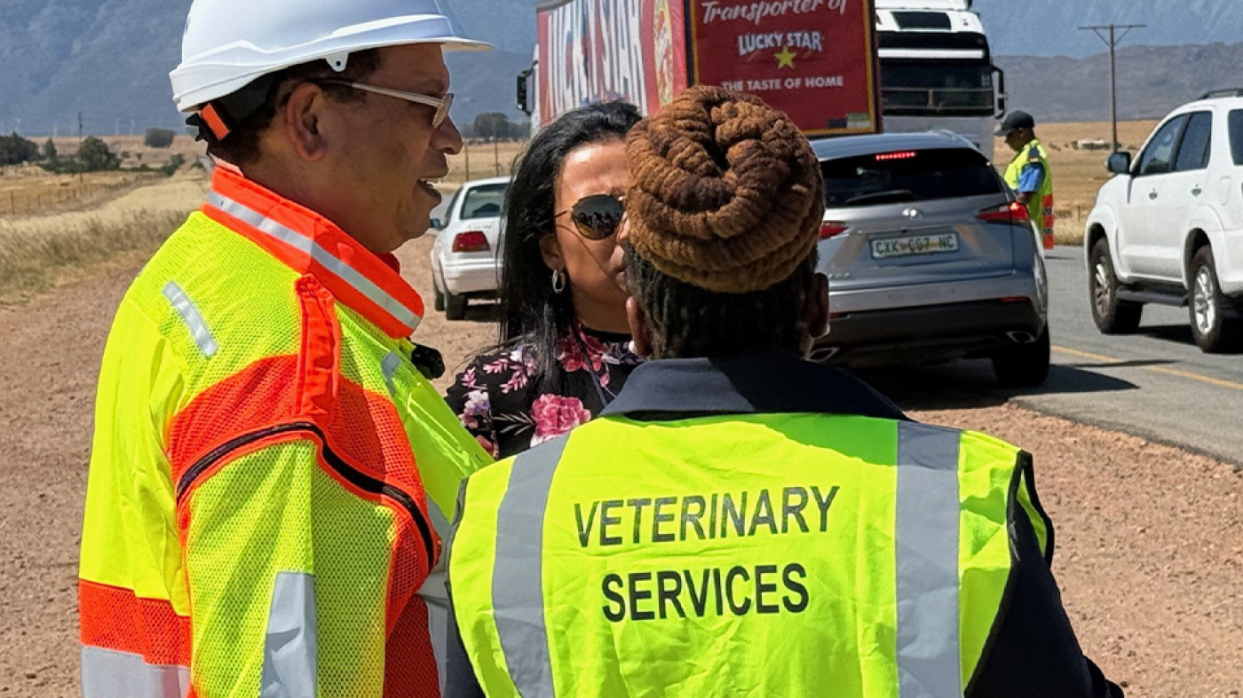 Foot-and-Mouth Disease outbreak under control in Western Cape | Western ...