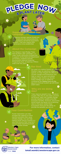 Pledge-Trees-Now-&-Plant-Later 2025-2028 Campaign | Western Cape Government
