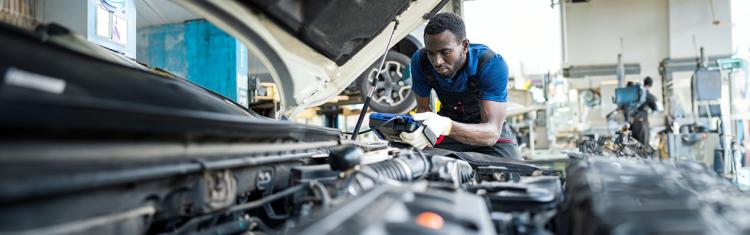 Roadworthiness Testing | Western Cape Government